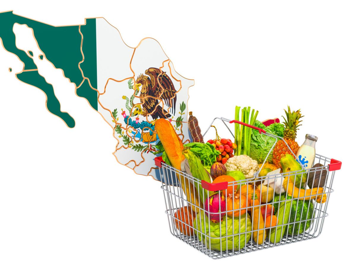 México decreta la eliminación de aranceles de productos de la canasta básica – Canal 13 Mexico