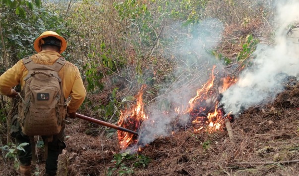 Combate eficaz contra incendios forestales – Canal 13 Mexico